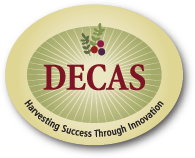 Decas Cranberry Grows with Sage 500 ERP